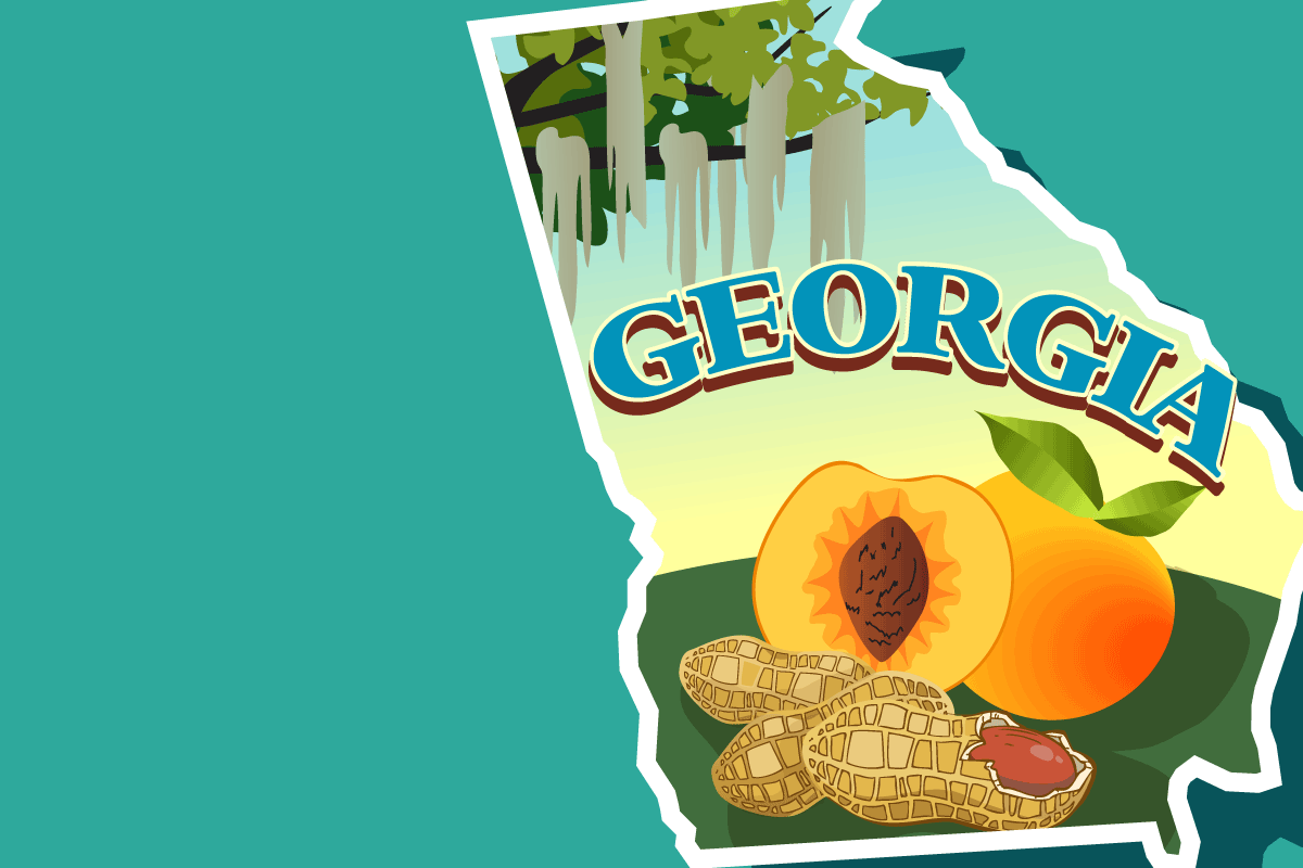 Custom Labels & Stickers in Georgia - The Bumper Sticker