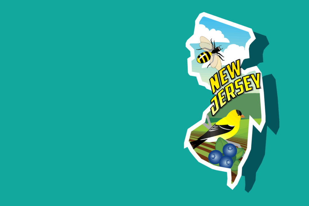 Custom Stickers & Labels in New Jersey - The Bumper Sticker